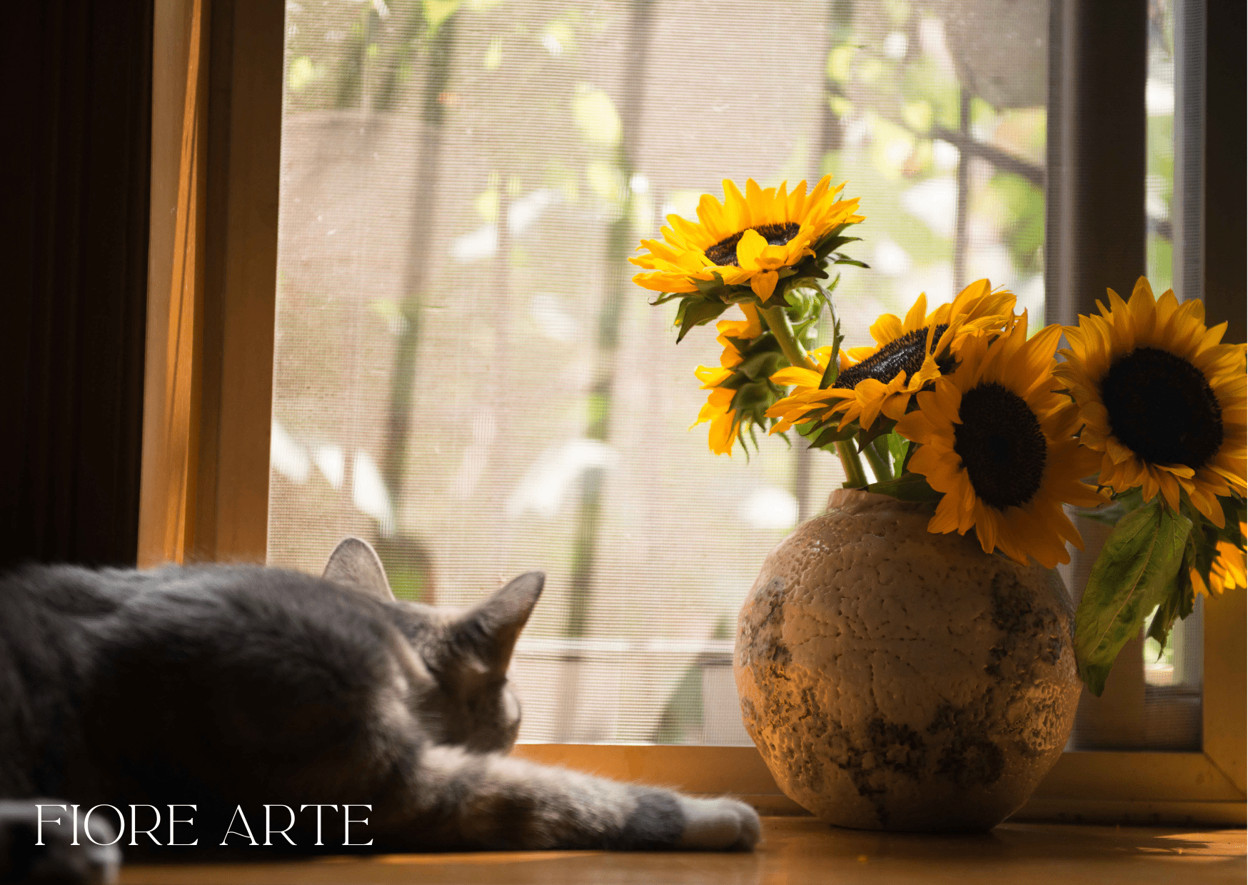 Pet-Safe Flowers: Blooms You Can Safely Enjoy with Pets – Fiore Arte